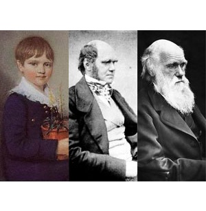 Charles Darwin on the atrocity of slavery and the origin of inequality ...